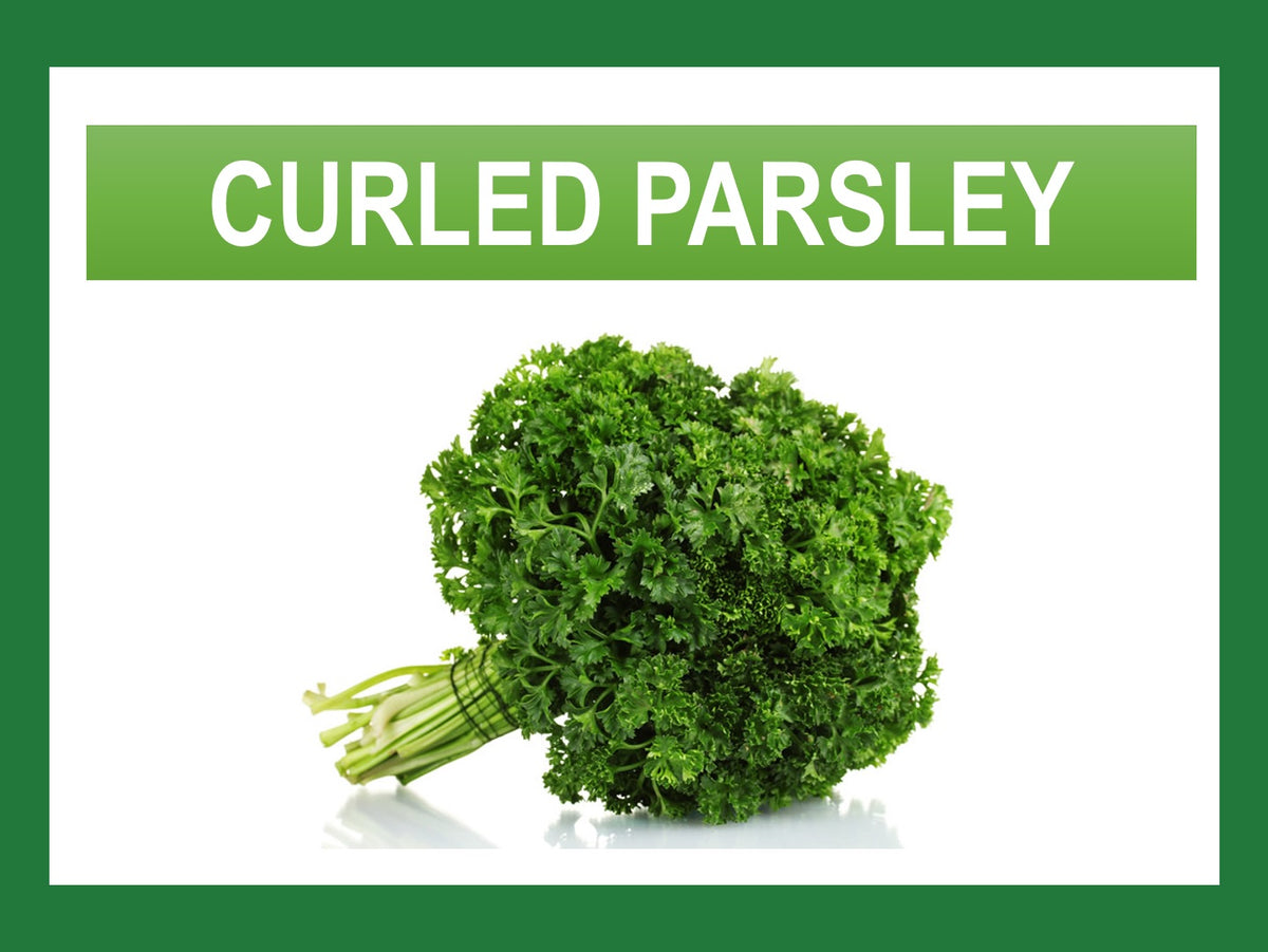 ITALIAN PARSLEY CURLED VARIETY – Farmchoice Agribusiness