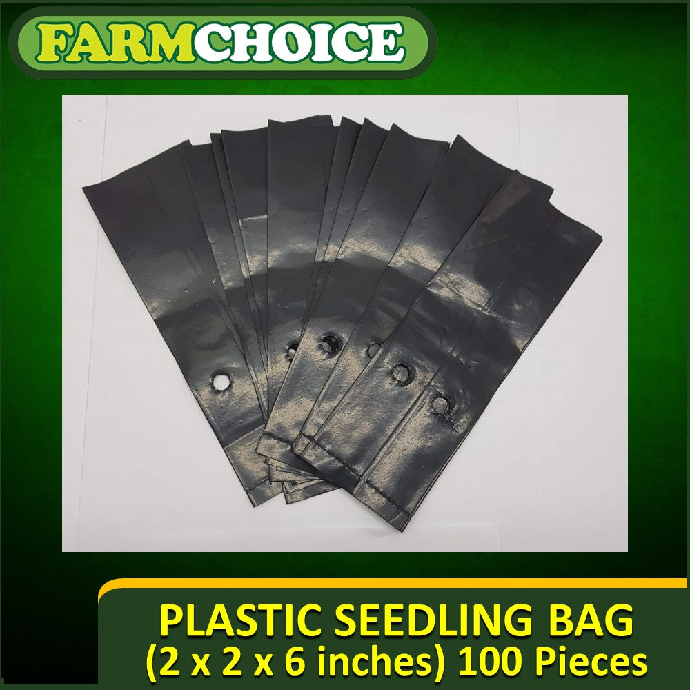 Plastic Seedling bag / Planters bag for plants (Size: 2 x 2 x 6 inches ...