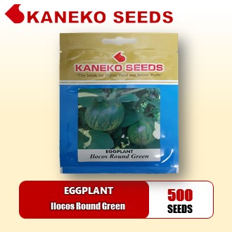 EGGPLANT - Ilocos Round Green – Farmchoice Agribusiness