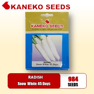 RADISH - Snow White 45 Days – Farmchoice Agribusiness