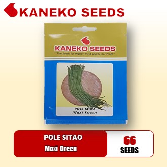 LONG SITAO / GREEN LONG BEAN - Maxi Green – Farmchoice Agribusiness