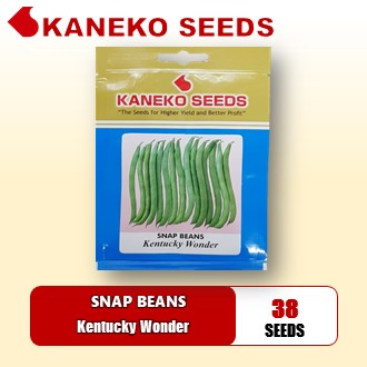 BAGUIO BEANS / SNAP BEANS - Kentucky Wonder – Farmchoice Agribusiness
