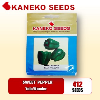 SWEET PEPPER - Yolo Wonder – Farmchoice Agribusiness