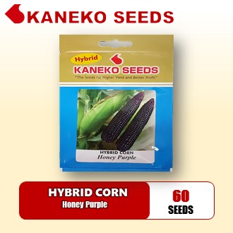 HYBRID CORN - Honey Purple – Farmchoice Agribusiness