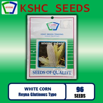 WHITE CORN - Reyna Glutinous Type – Farmchoice Agribusiness