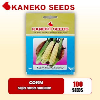 CORN - Super Sweet Sunshine – Farmchoice Agribusiness