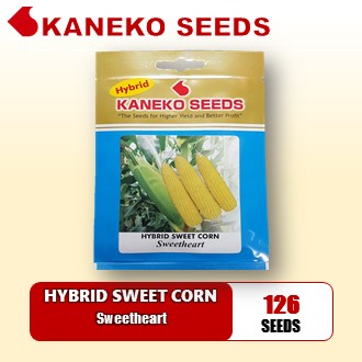 HYBRID SWEET CORN - Sweetheart – Farmchoice Agribusiness