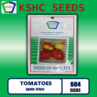 TOMATOES - Apollo White – Farmchoice Agribusiness