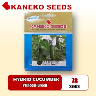 HYBRID CUCUMBER - Princess Green – Farmchoice Agribusiness